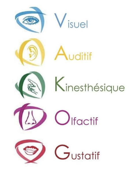 Les canaux sensoriels pour mieux communiquer et apprendre